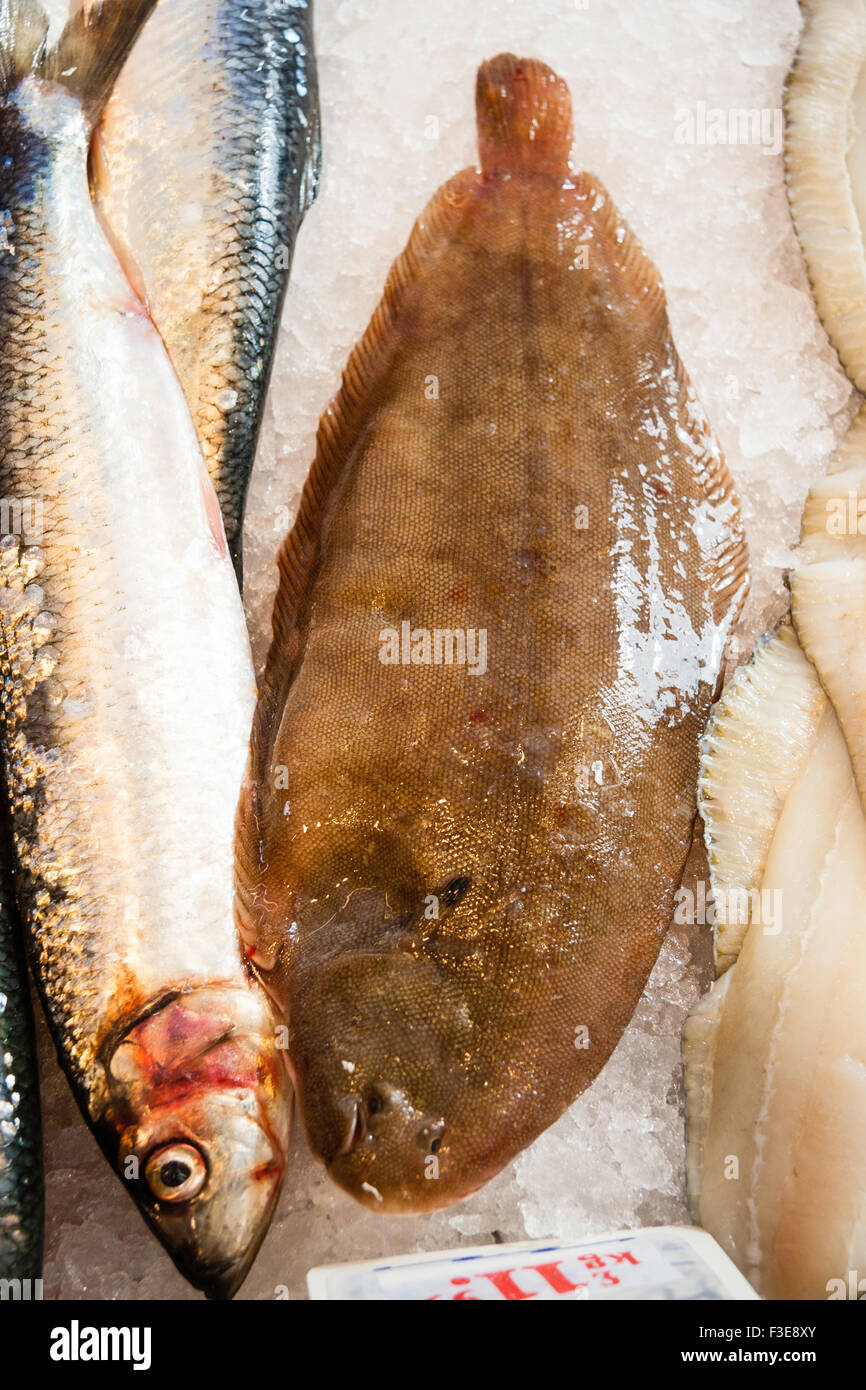 Display of wet fish hi-res stock photography and images - Alamy