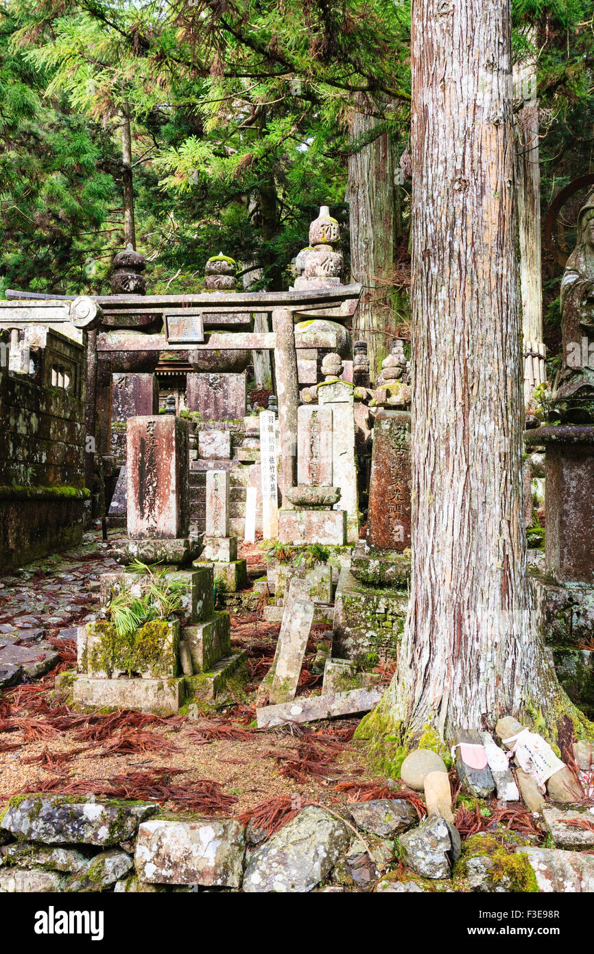 Japan, Koyasan cemetery, Okunoin. Pathway among the cedar trees leading ...