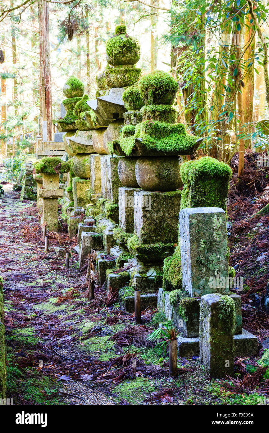Japan, Koyasan, ancient Japanese cemetery, Okunoin. Row of large moss ...