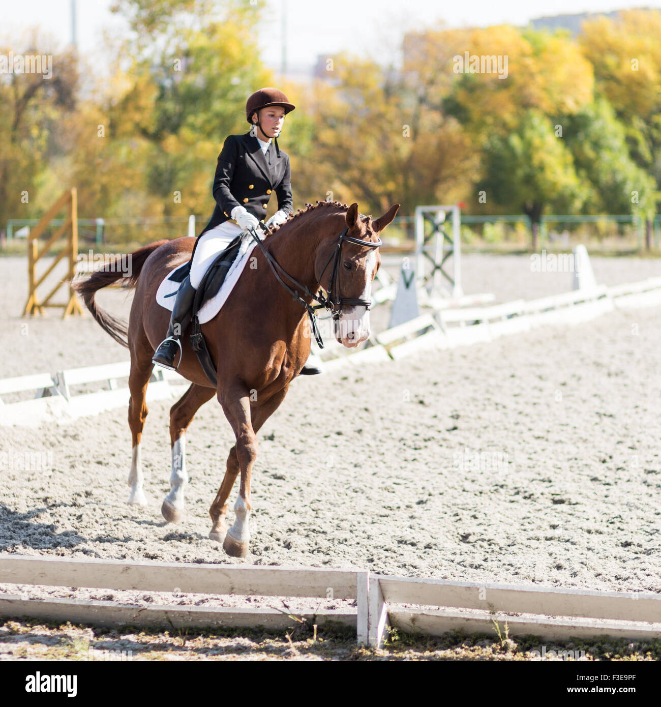 Young horse rider girl at the dressage competition. Equestrian sport ...