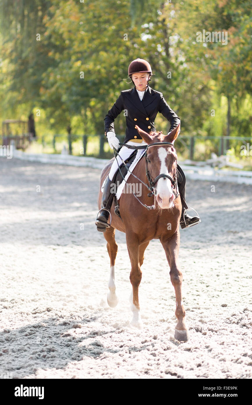 Young horse rider girl at the dressage competition. Equestrian sport ...