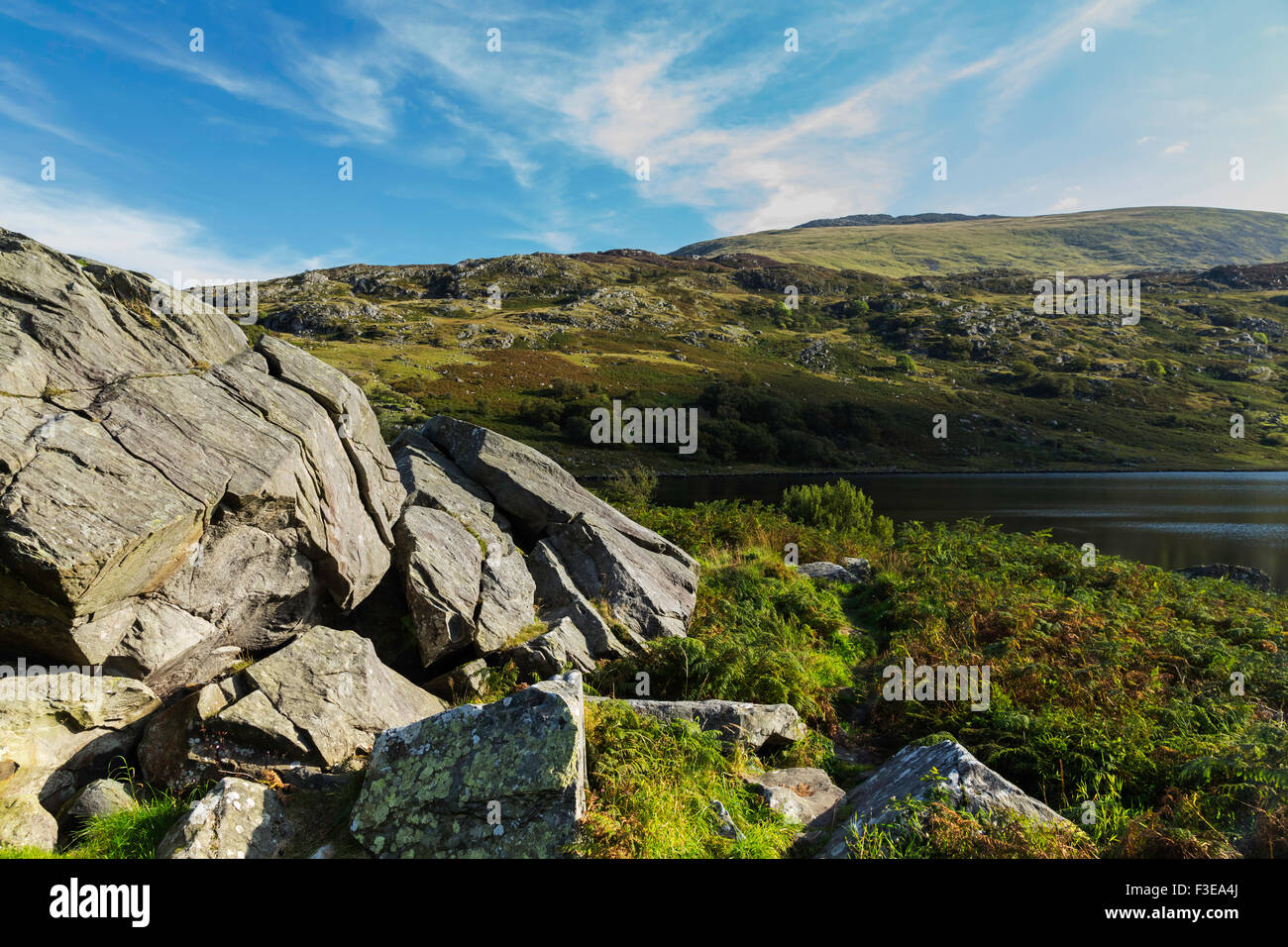 Countryside near Capel Curig in Snowdonia Stock Photo - Alamy