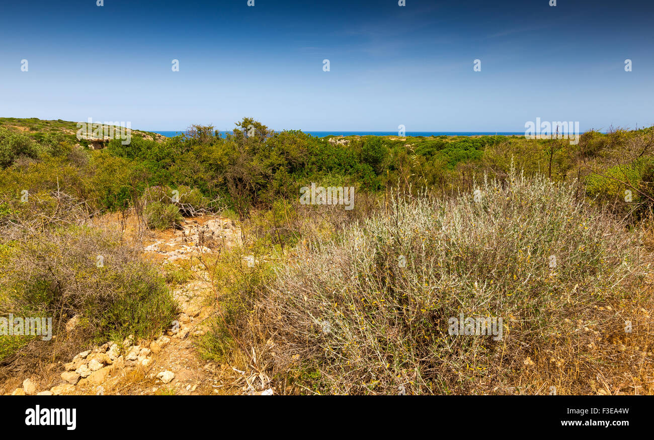 Vendicari Nature Reserve. Riserva naturale orientata Oasi Faunistica di ...