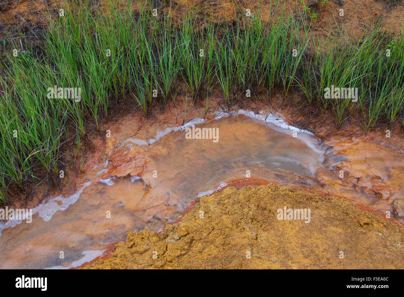 Paint Pots, iron-rich cold mineral springs in the Kootenay National ...