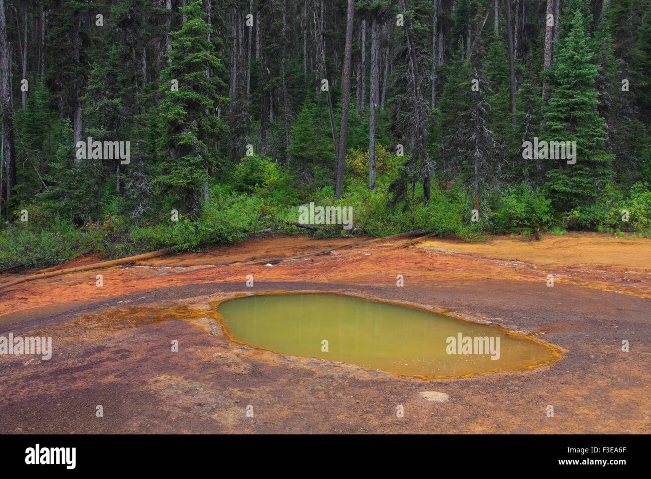 Paint Pots, iron-rich cold mineral springs in the Kootenay National ...