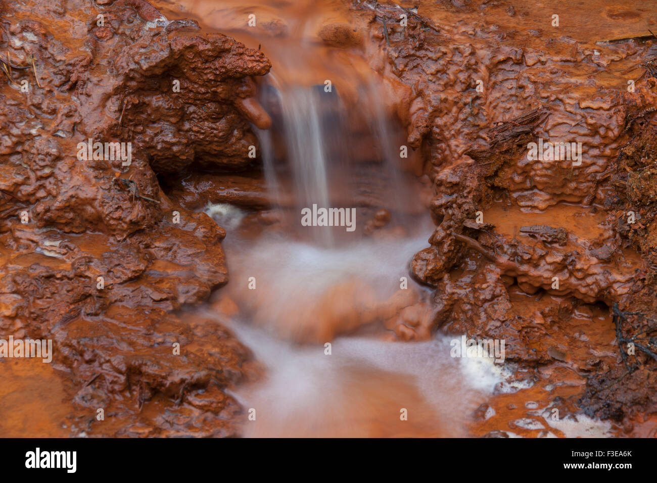 Paint Pots, iron-rich cold mineral springs in the Kootenay National ...