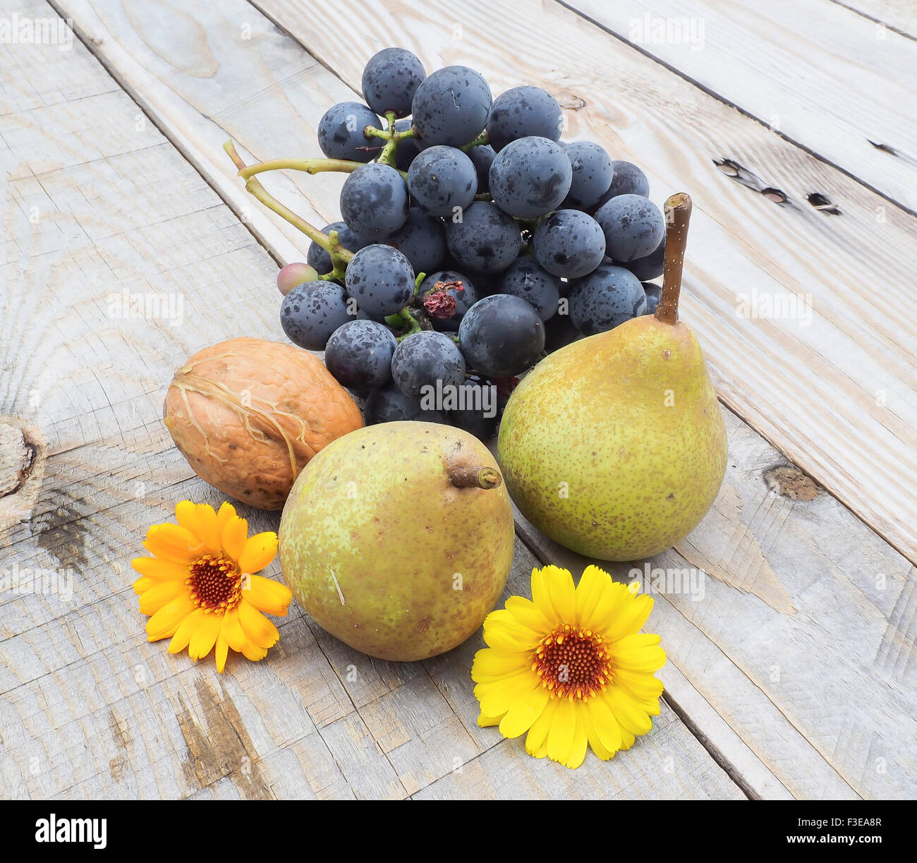 Concept gardening summer autumn hi-res stock photography and images - Alamy