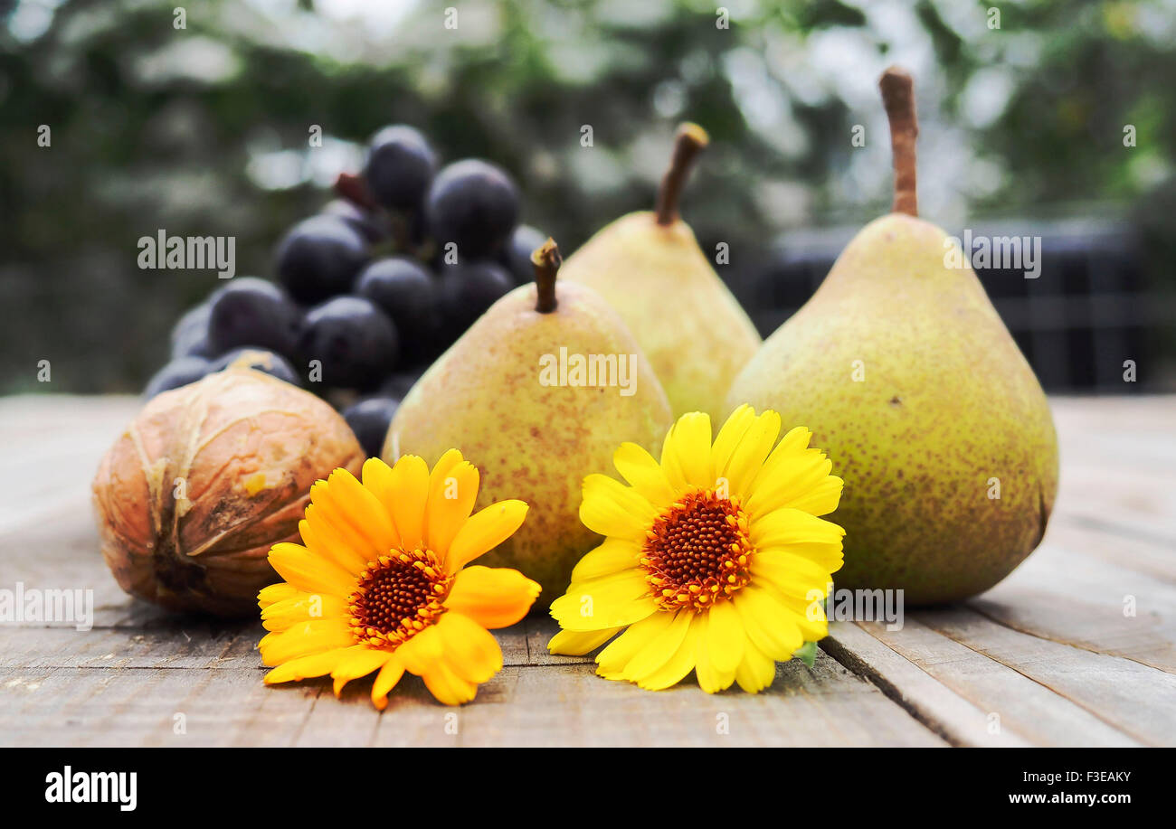 Concept gardening summer autumn hi-res stock photography and images - Alamy