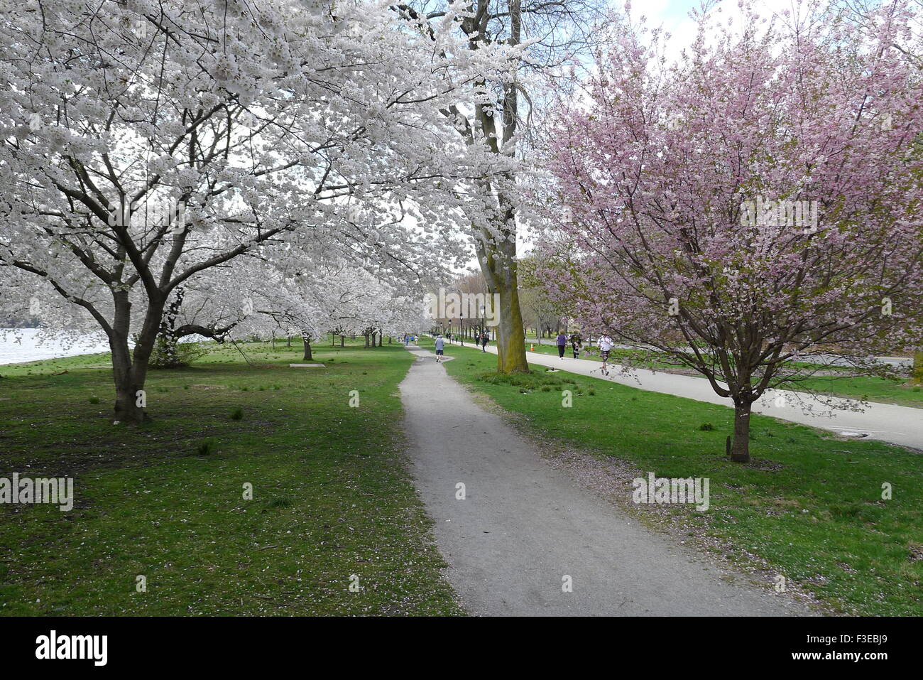 Kelly drive hi-res stock photography and images - Alamy