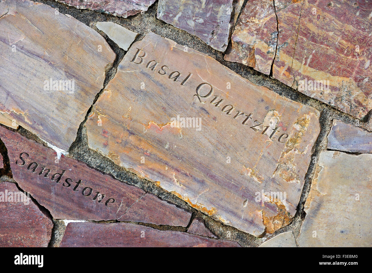Basal quartzite and Torridonian sandstone rock fragments, Knockan ...