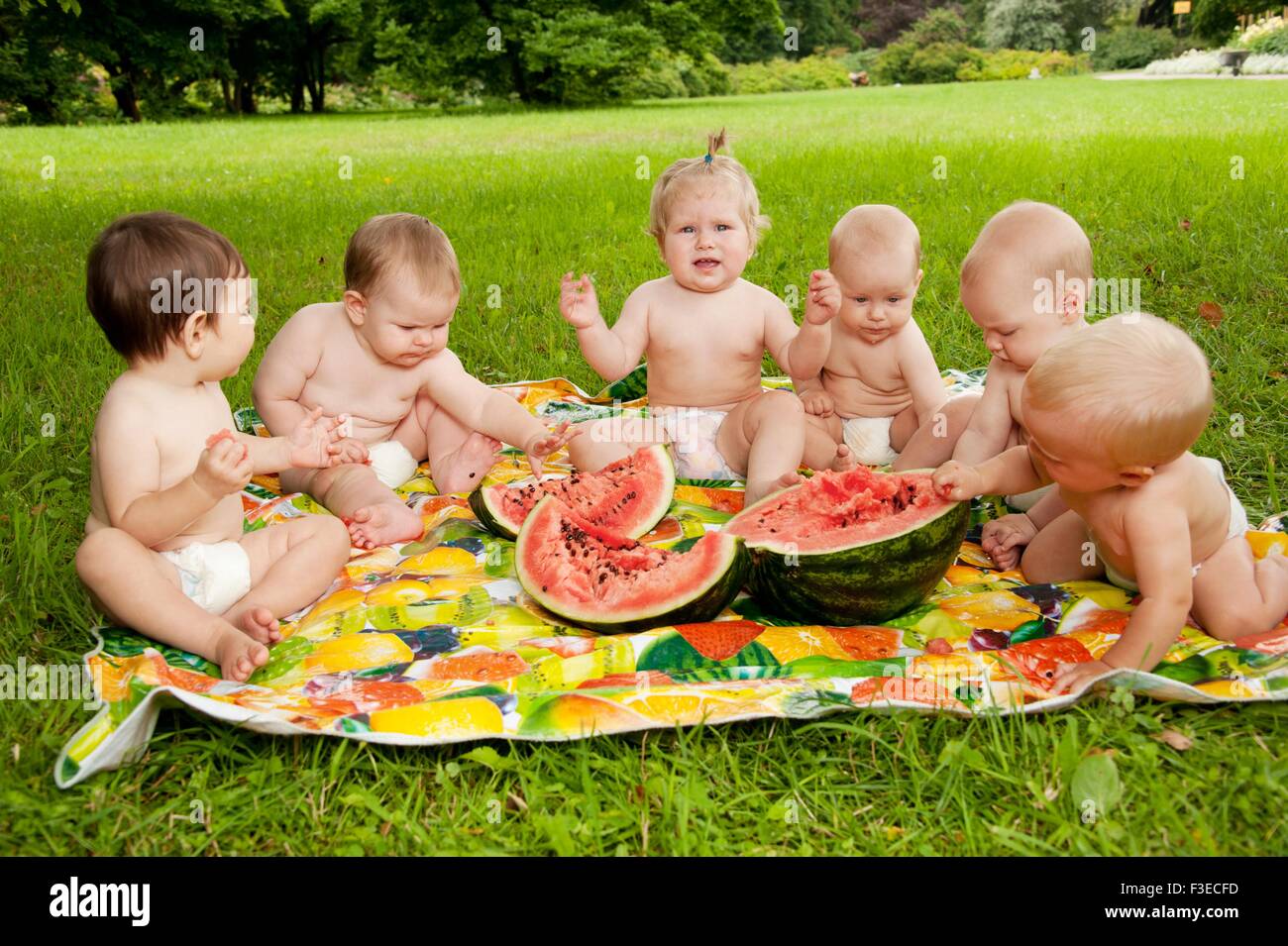 Group of babies eating watermelon outdoors Stock Photo - Alamy