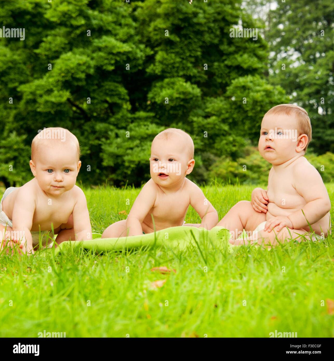 Group of babies outdoors Stock Photo - Alamy