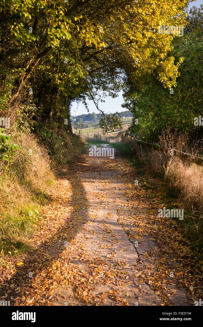 Stanway cotswolds hi-res stock photography and images - Alamy