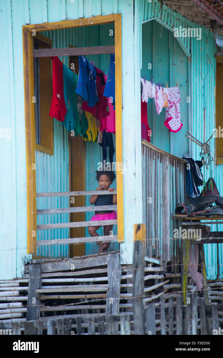 A traditional wooden home in the Amazon Stock Photo - Alamy