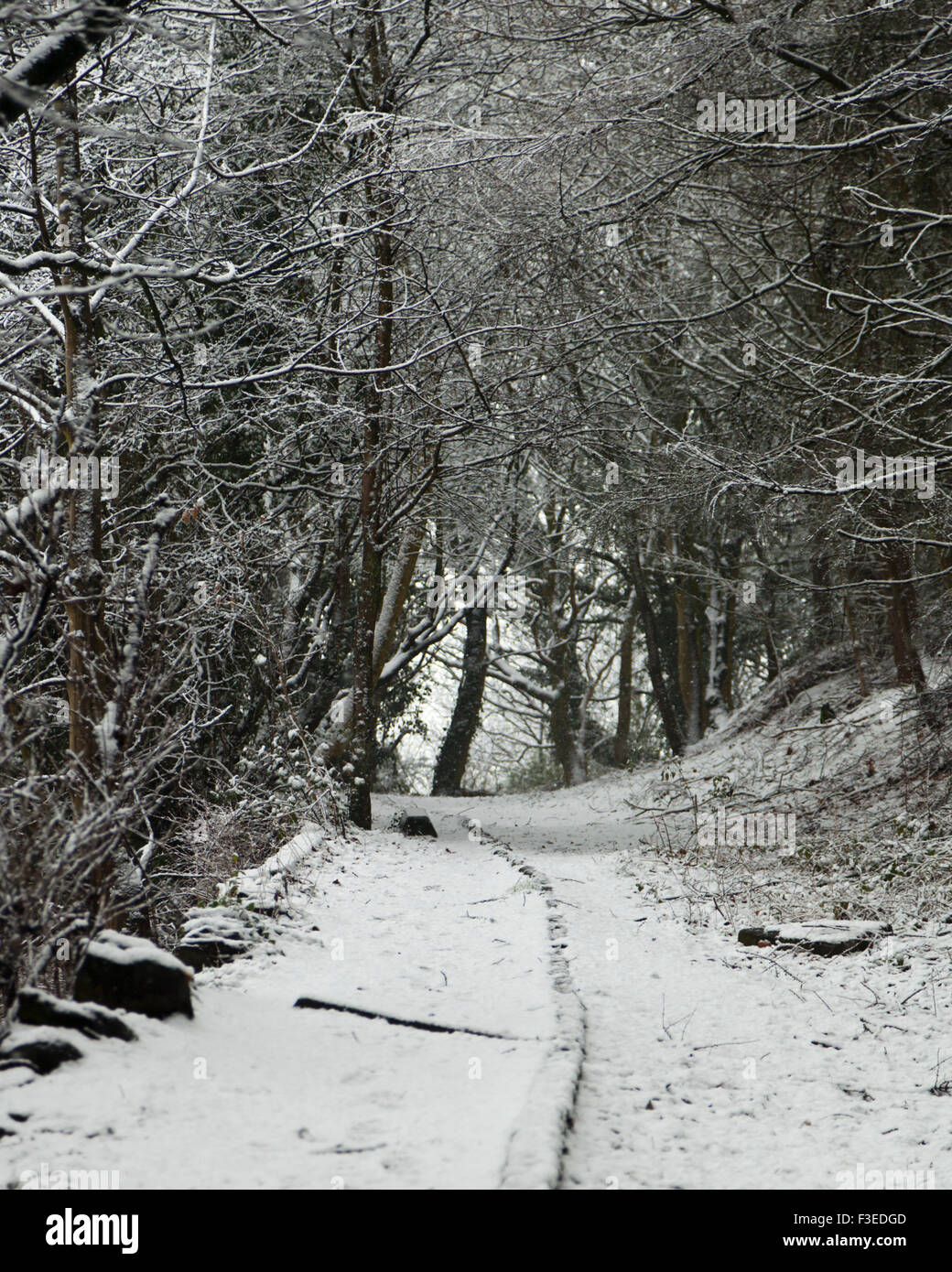 Snow scene in Yorkshire, England UK Stock Photo - Alamy