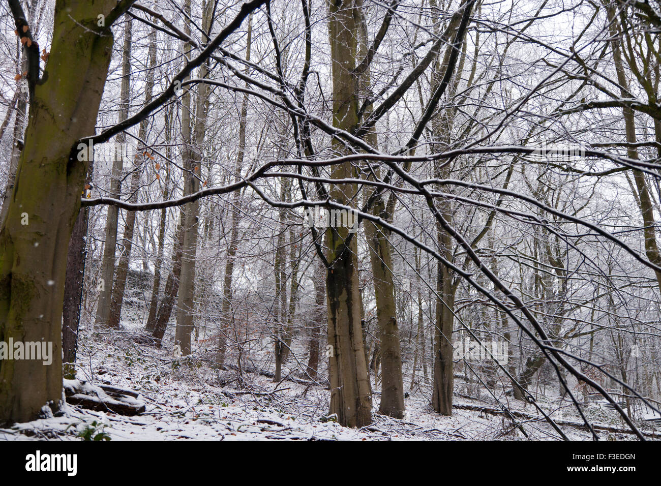 Snow scene in Yorkshire, England UK Stock Photo - Alamy