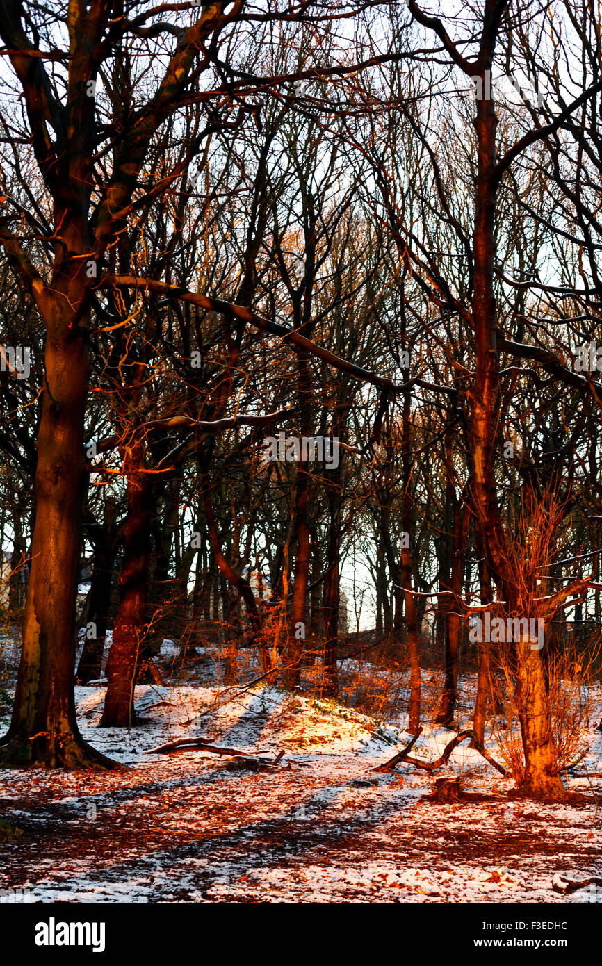Snow scene in Yorkshire, England UK Stock Photo - Alamy