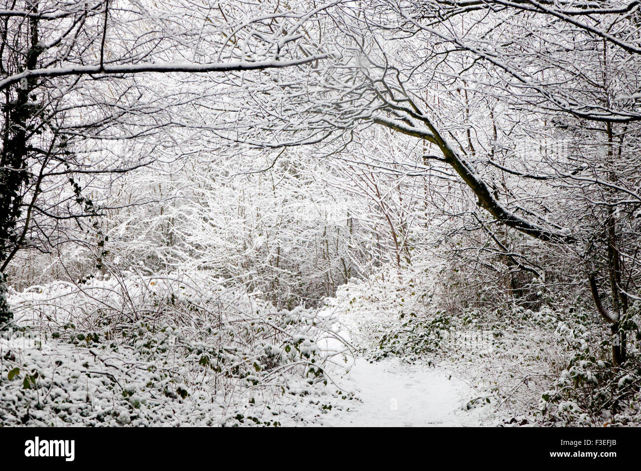 Snow scene in Yorkshire, England UK Stock Photo - Alamy