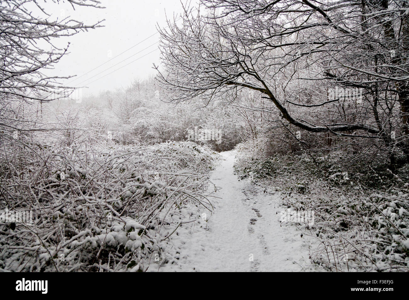 Snowy track through landscape hi-res stock photography and images - Alamy