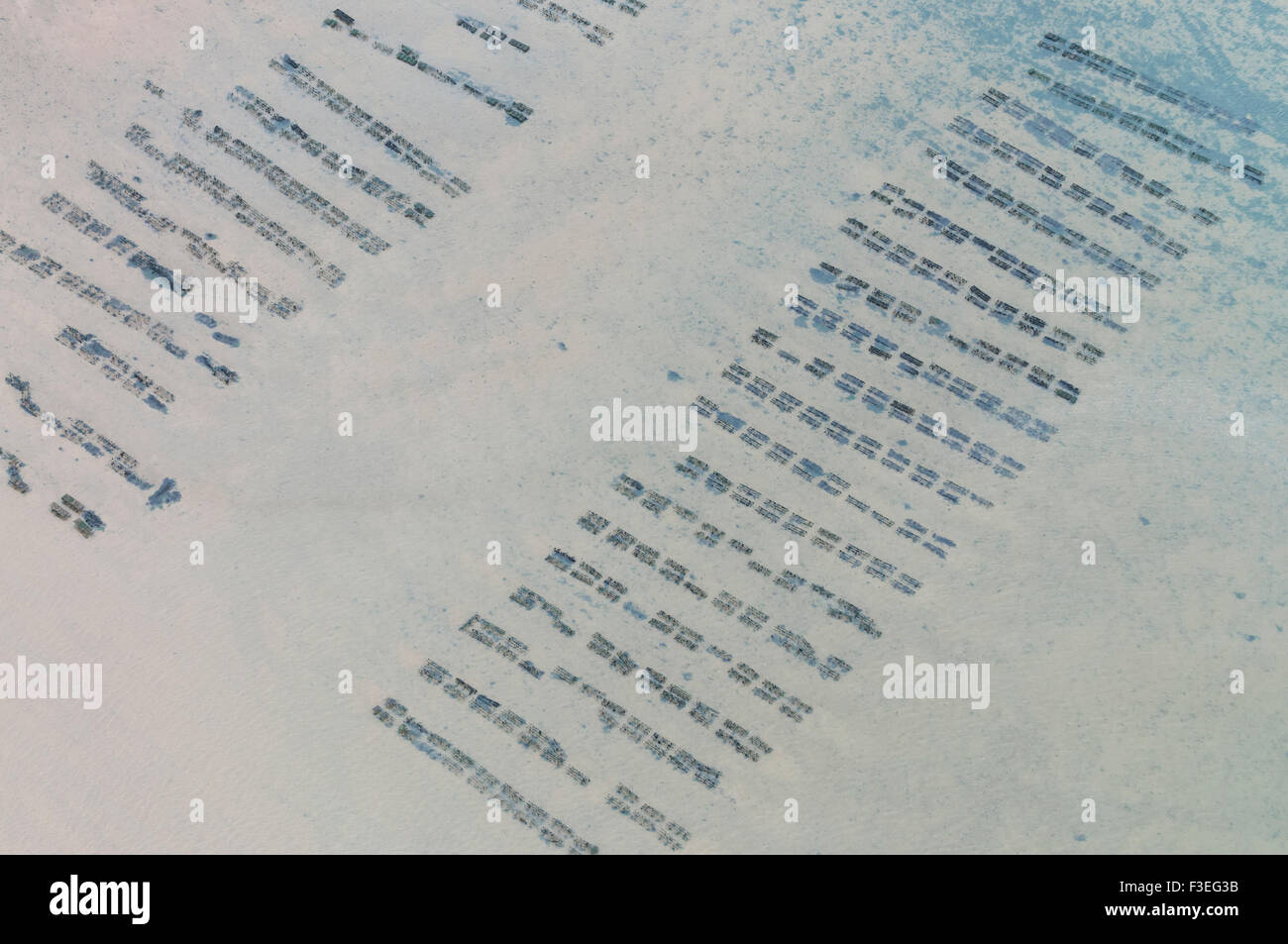 Mussel beds hi-res stock photography and images - Alamy