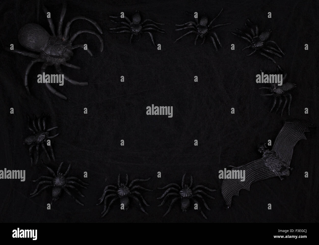 Spider and bat on web with black background and copy space for ...