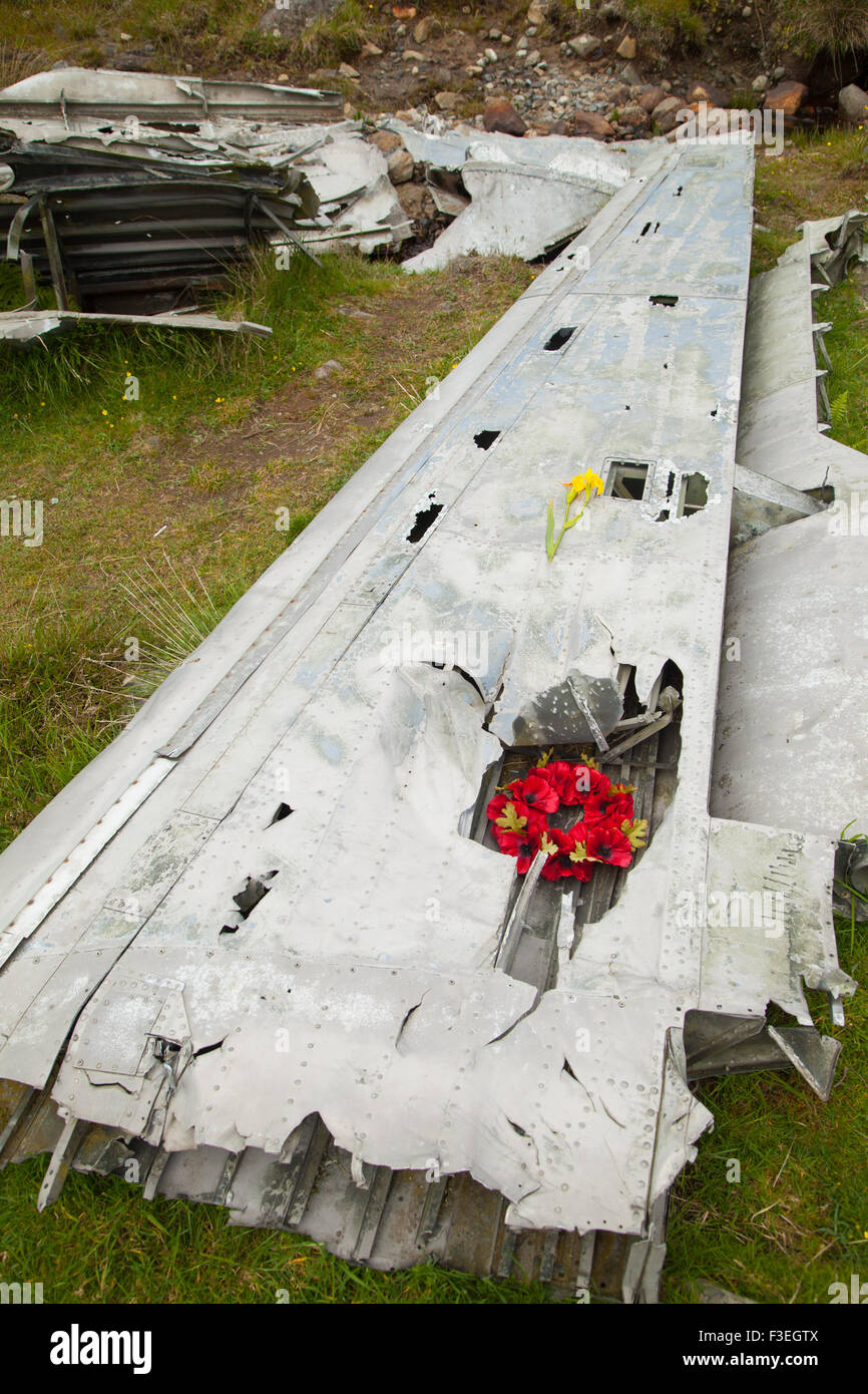 Catalina flying boat wreckage hi-res stock photography and images - Alamy