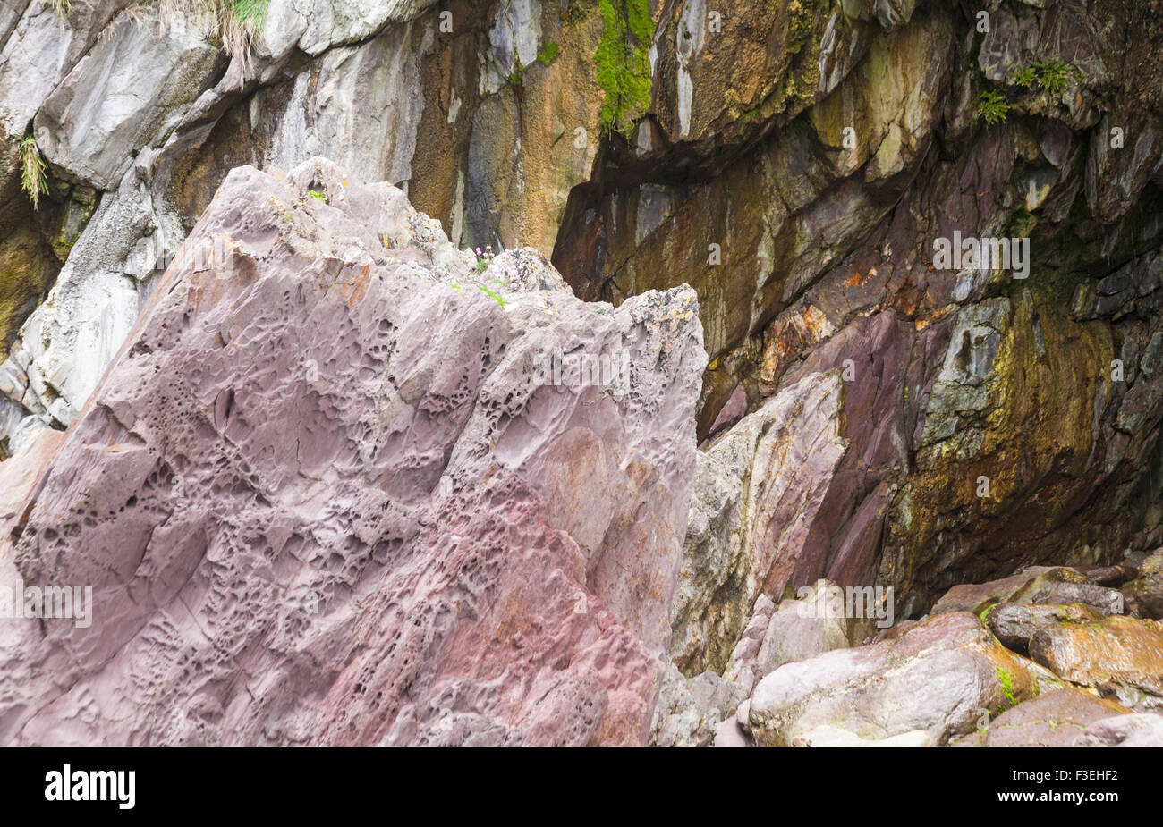 Rock details of cliffs on beach at St. Justinians, Pembrokeshire Coast ...