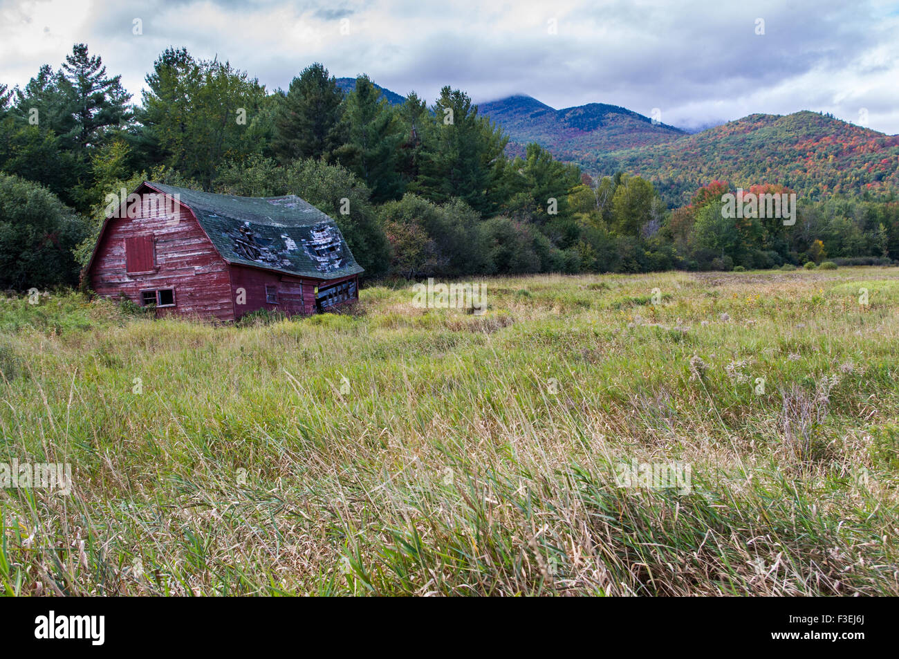 Old run down barn with fall color in the Adirondacks in the background ...