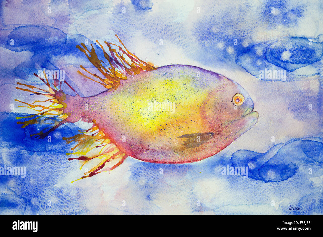Multi coloured fantasy fish swimming in blue water. The dabbing ...