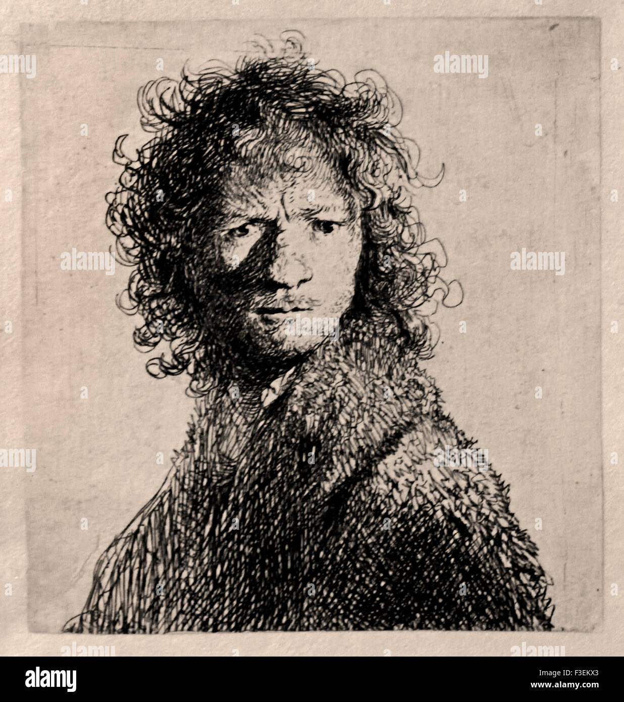 Self portrait frowning 1630 rembrandt hi-res stock photography and ...