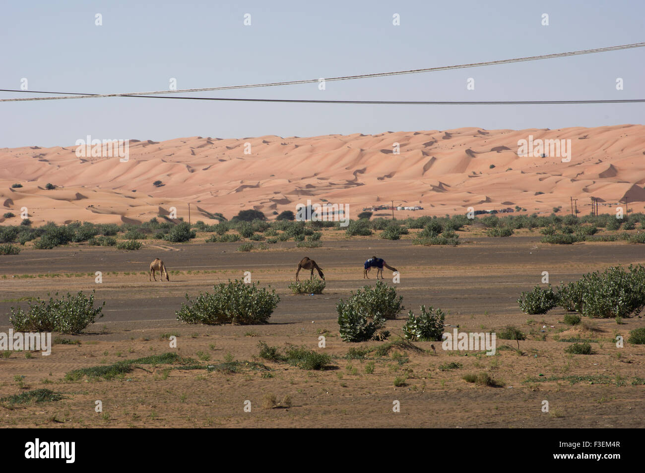 Al sharkia hi-res stock photography and images - Alamy