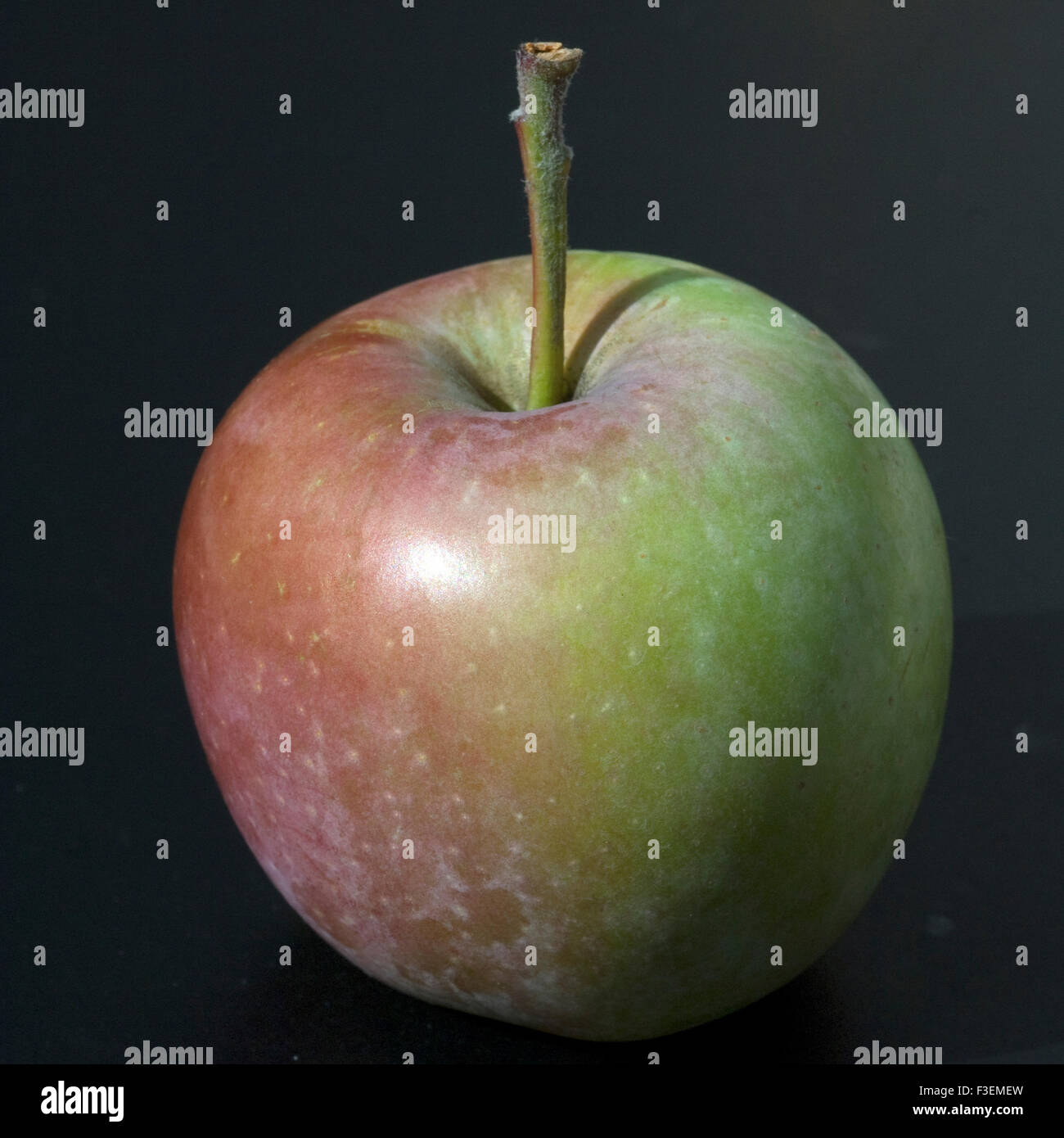 Kulturaepfel hi-res stock photography and images - Alamy