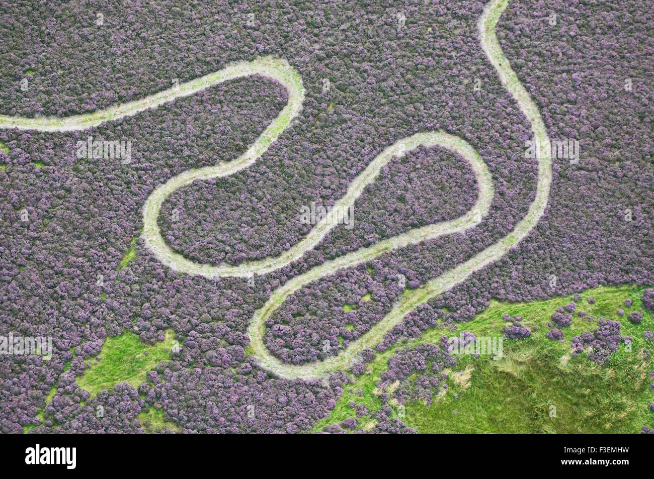 Aerial image of track Stock Photo - Alamy