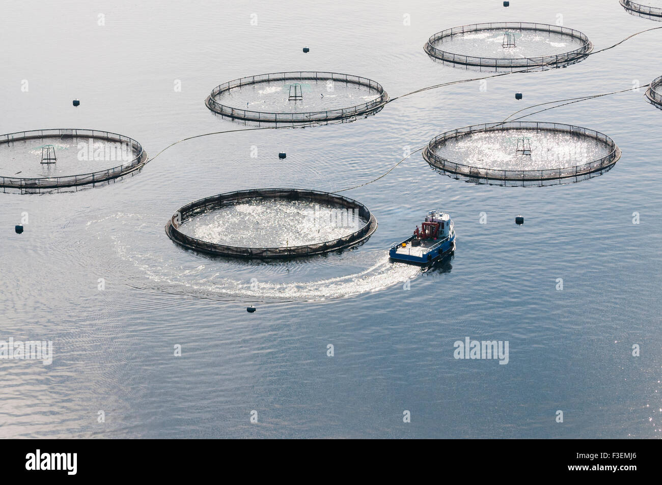 Aerial view of net-cage fishfarm Stock Photo - Alamy