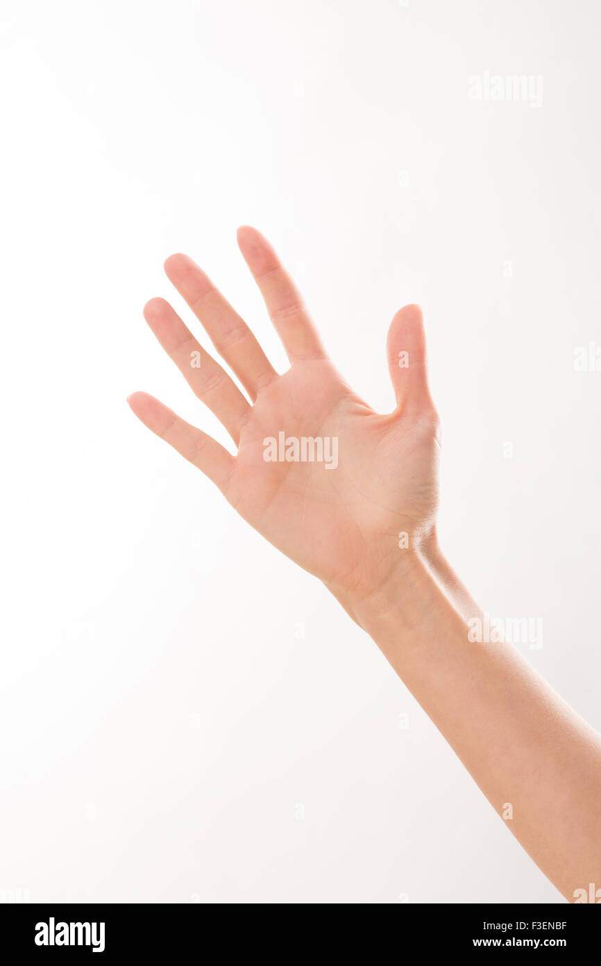Hand palm hi-res stock photography and images - Alamy