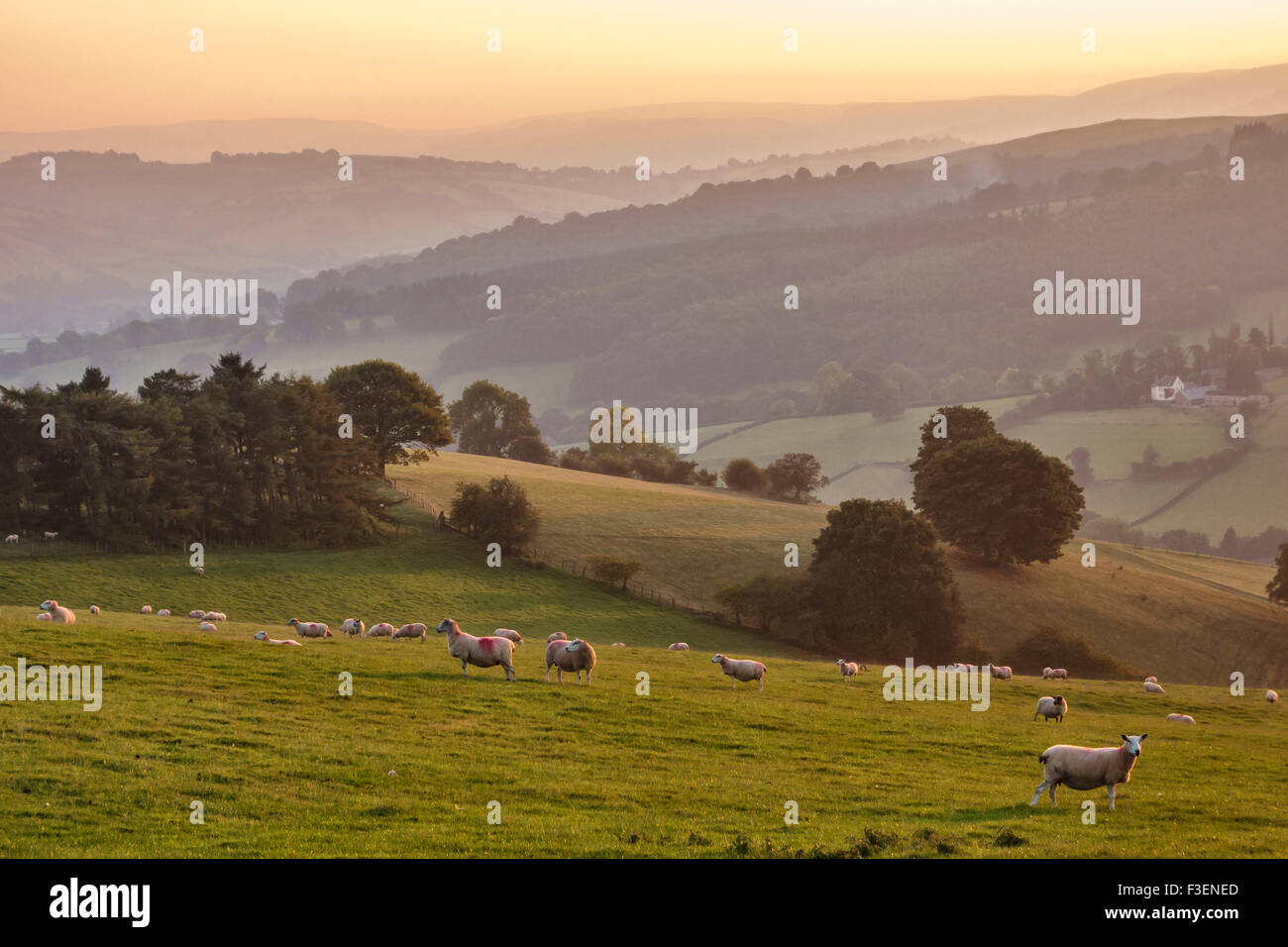 Welsh border hi-res stock photography and images - Alamy