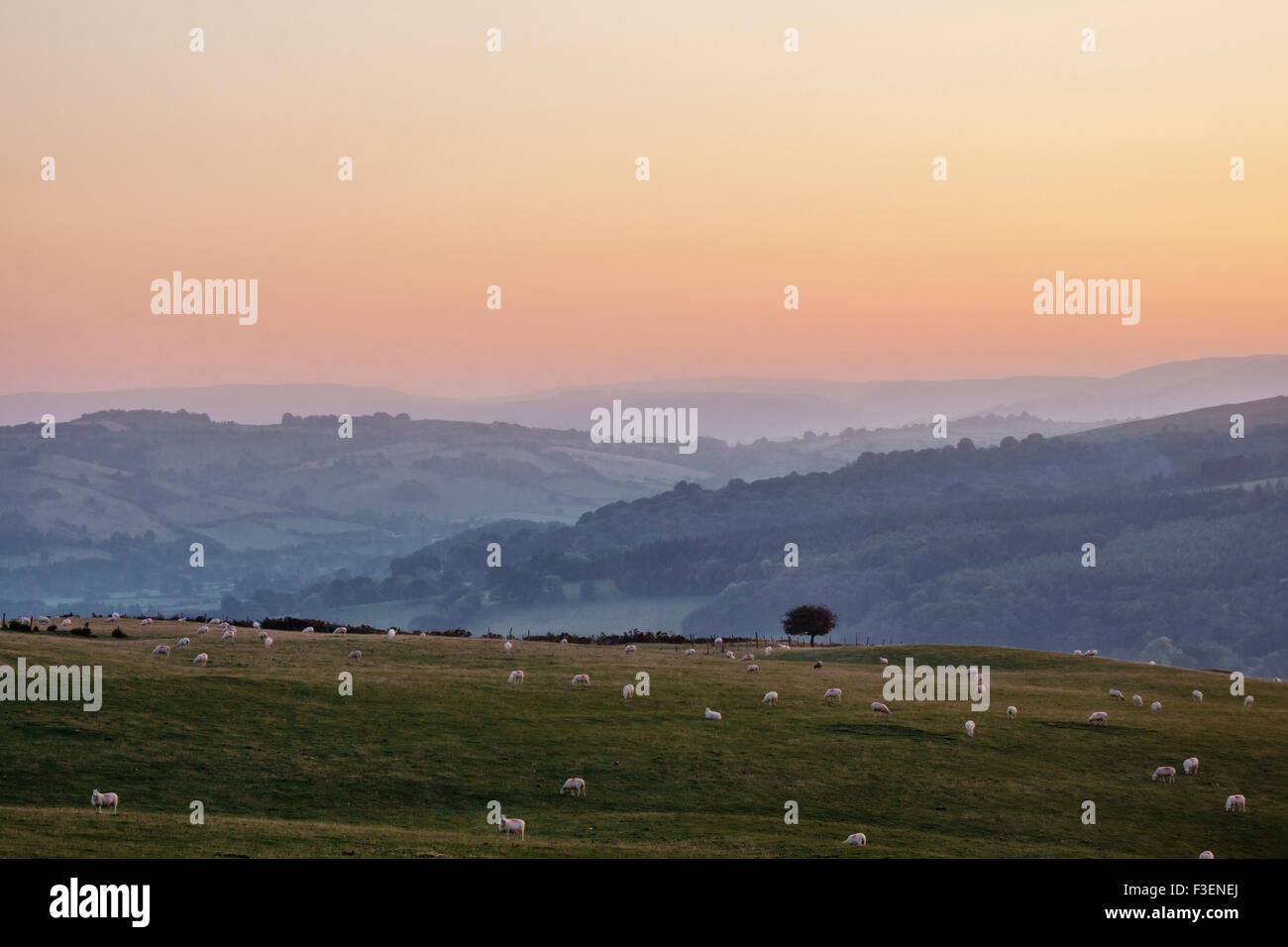 Sunset on the Welsh Borders near Knighton - view west from Stonewall ...