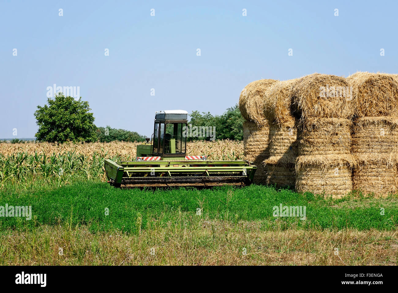Processing bales hi-res stock photography and images - Alamy