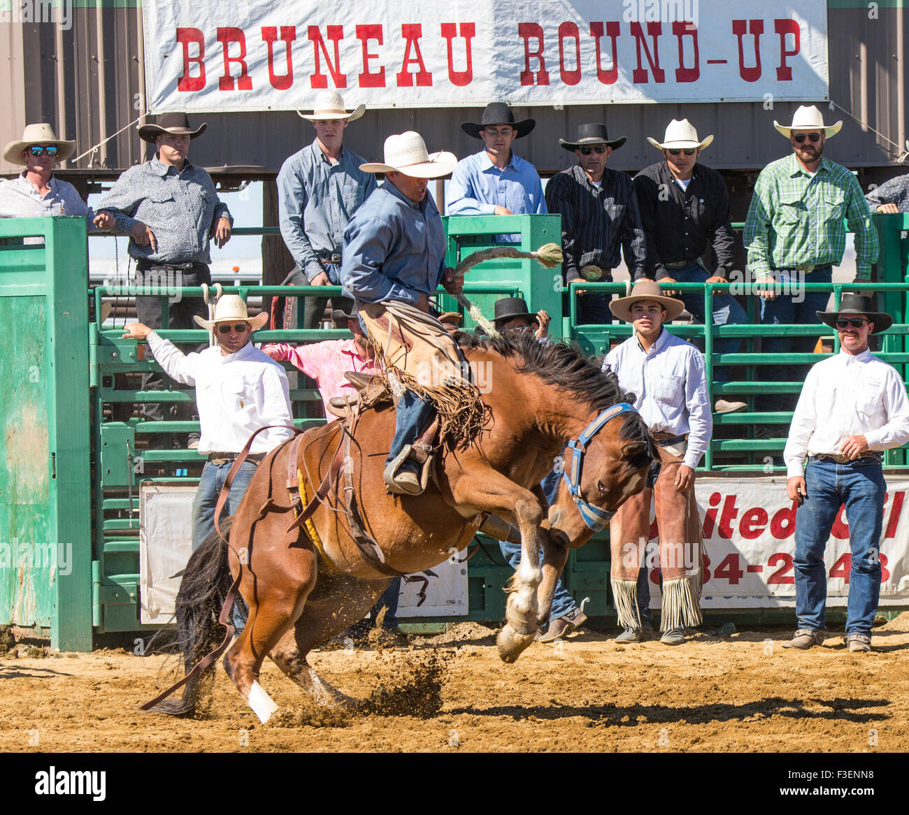 Rodeo's, Bruneau Round-Up, Cowboy, Saddle Bronc Riding, Bruneau, Idaho ...