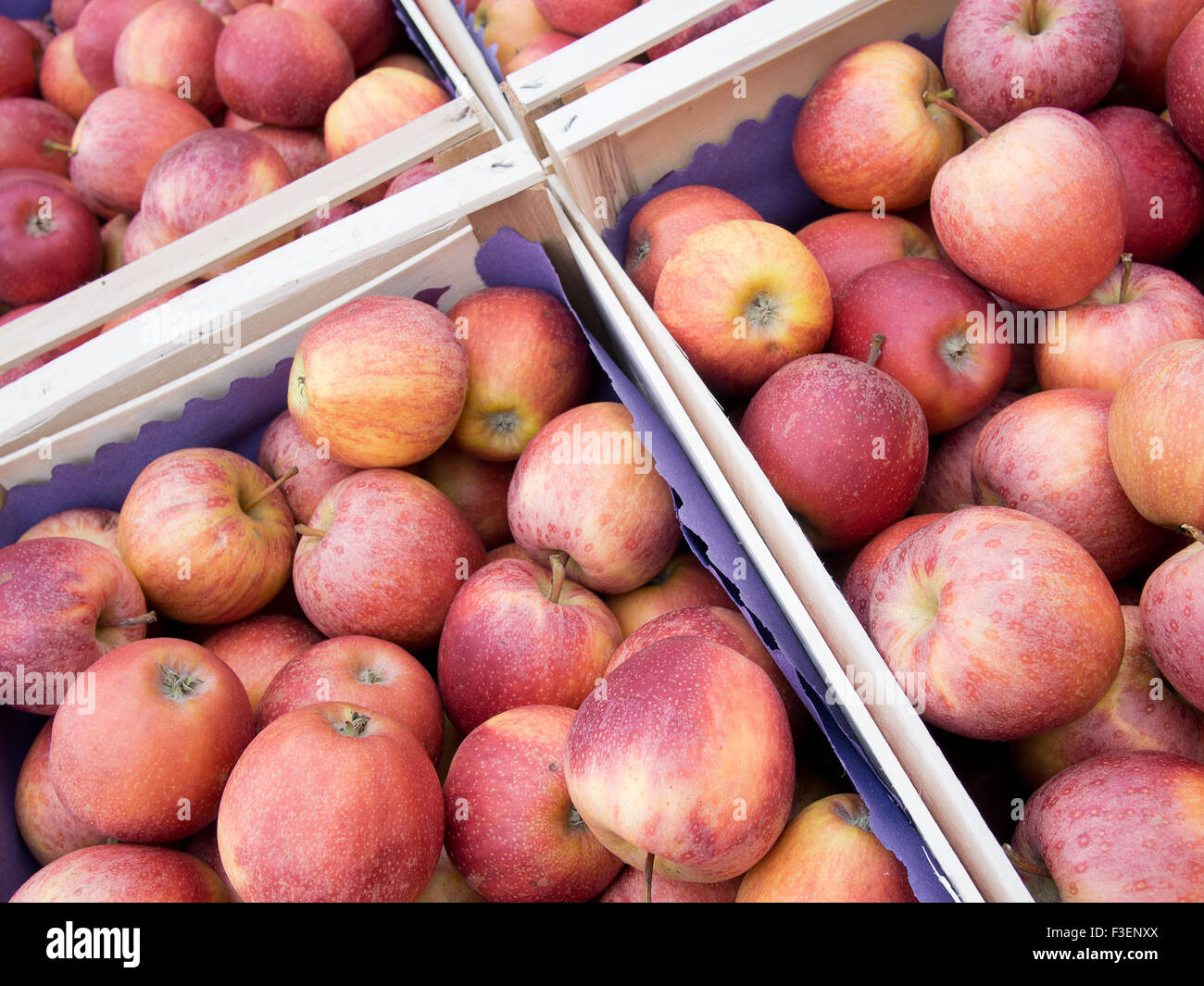 Red apples in farmers' market, bulk, wholesale but small-scale ...