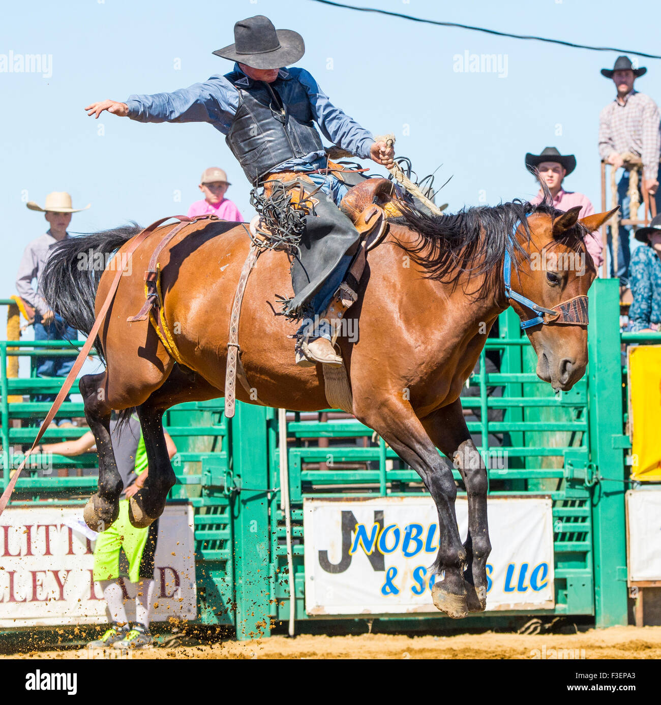 Rodeo's, Bruneau Round-Up, Saddle Bronc Riding, Bruneau, Idaho, USA ...