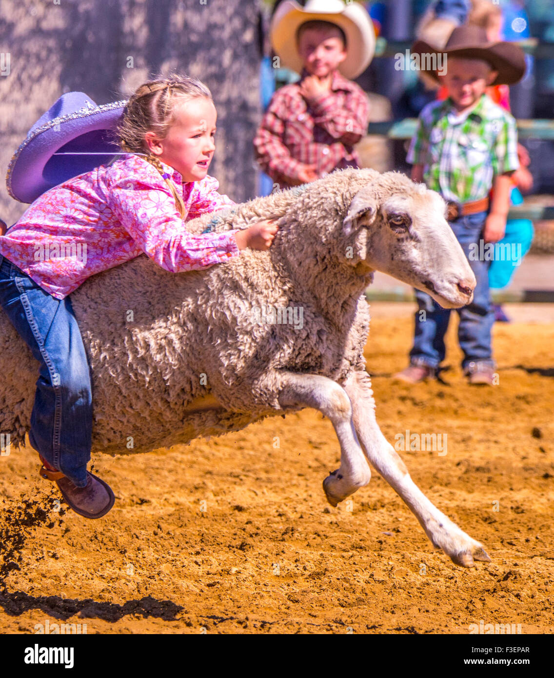 Rodeo's, Bruneau Round-Up, Young Girl riding sheep during Mutton ...