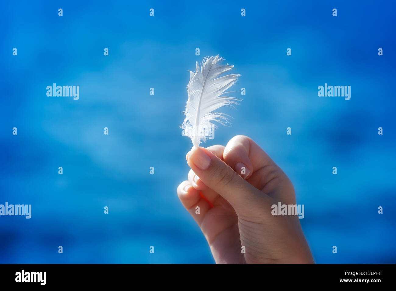 Feather in hand Stock Photo - Alamy
