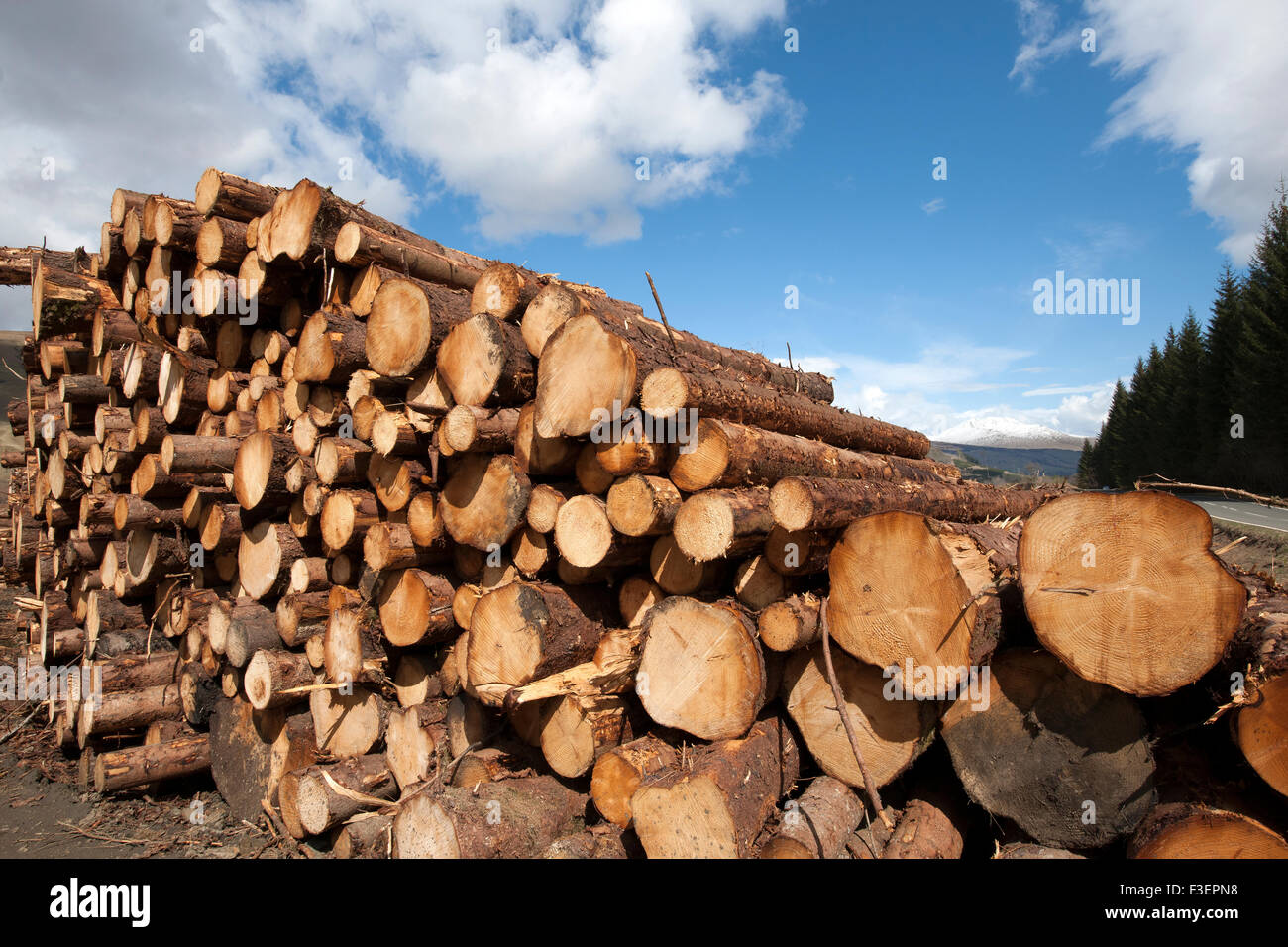 Timber Production Scotland High Resolution Stock Photography and Images ...