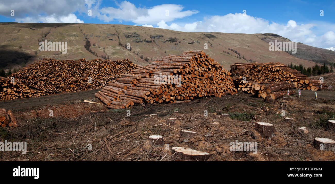 Uk deforestation hi-res stock photography and images - Alamy