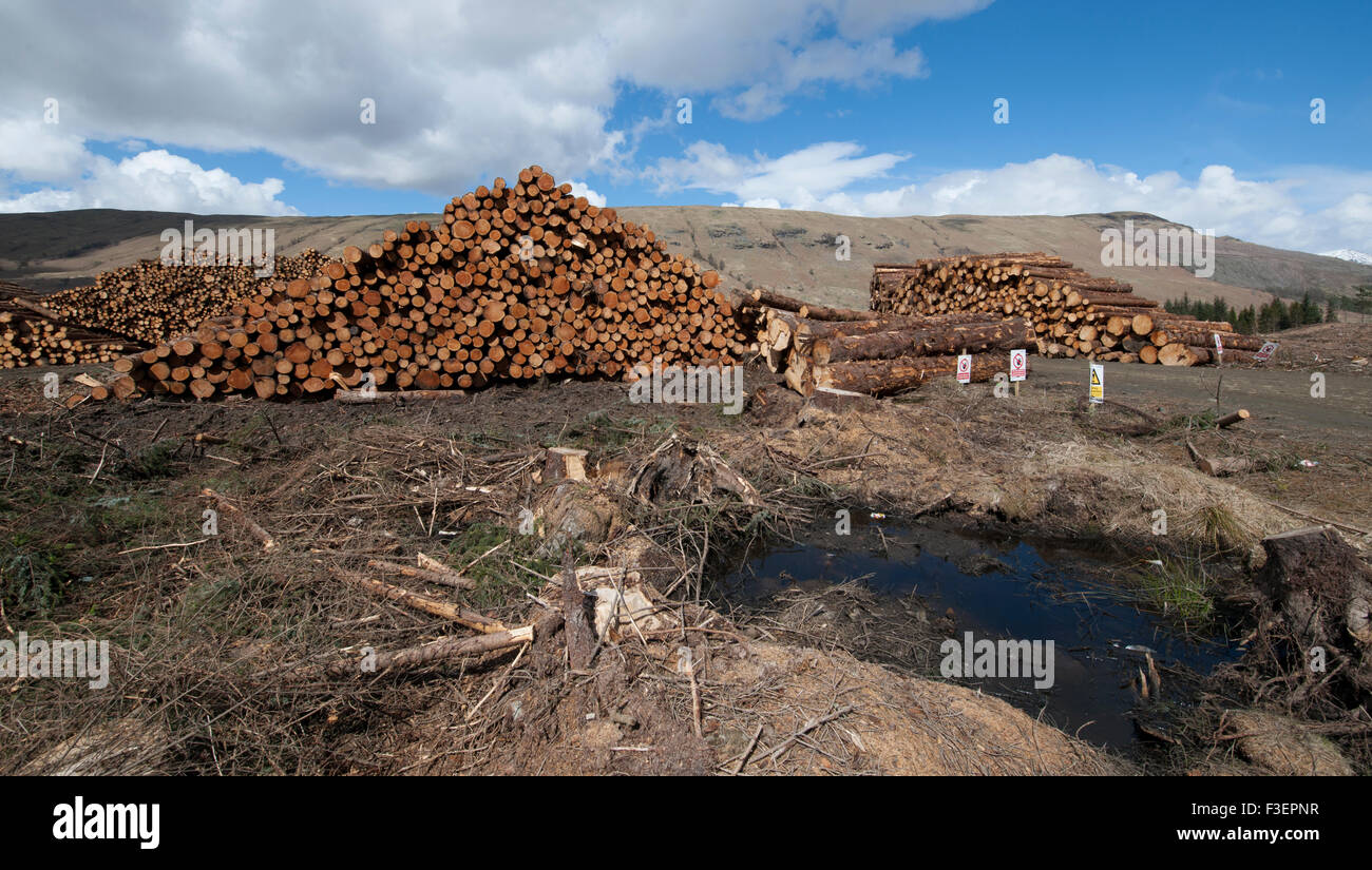 Commercial logging hi-res stock photography and images - Alamy