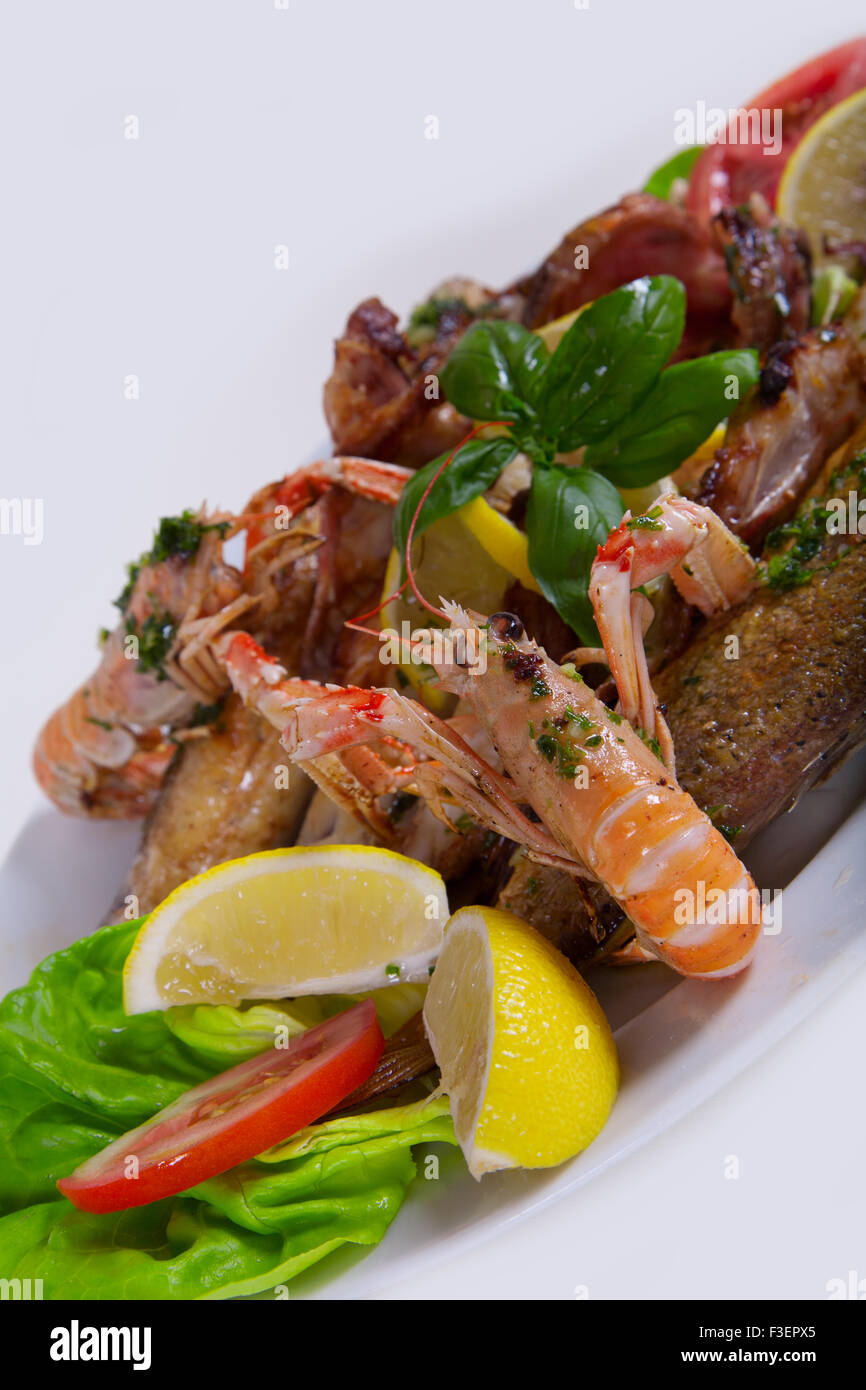 Adriatic animal hi-res stock photography and images - Alamy