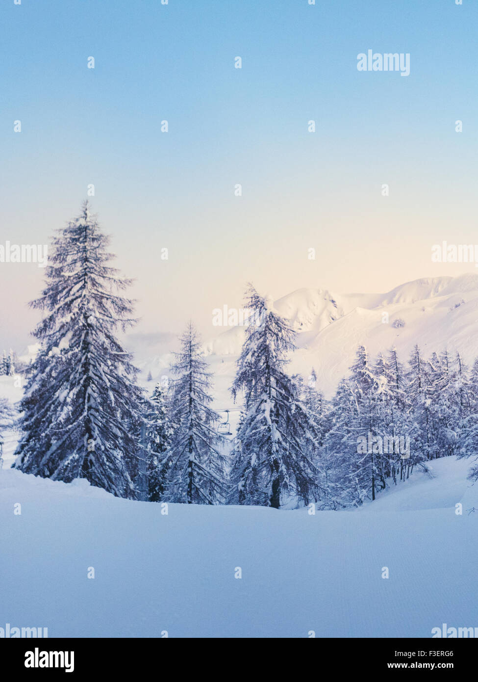 Winter forest in Julian Alps mountains in Slovenia Stock Photo - Alamy