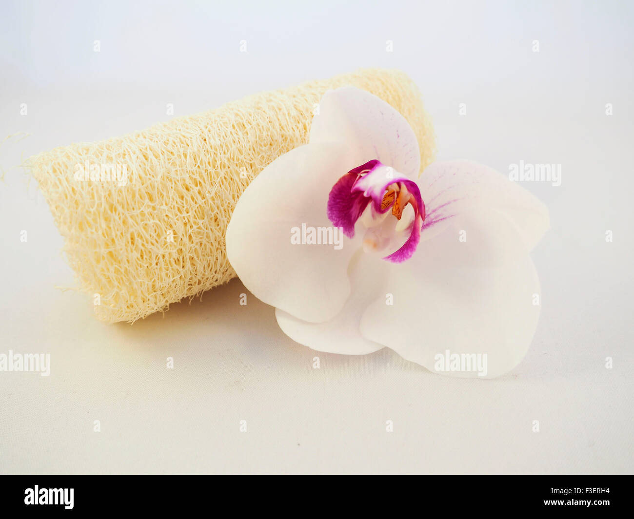Sponge bath hi-res stock photography and images - Alamy
