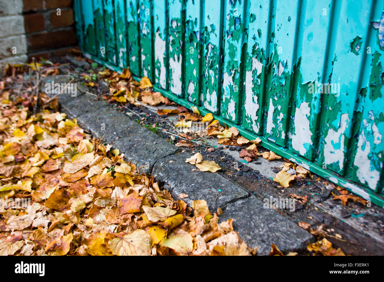 Old leaves hi-res stock photography and images - Alamy